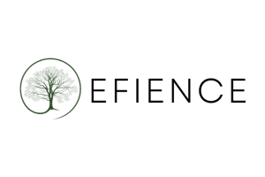 Canadian Influencers & Content Creators Association